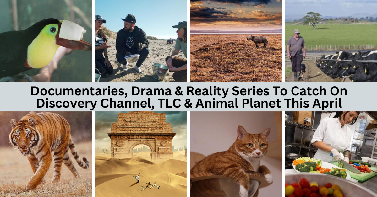 Top Shows On Discovery Channel, TLC & Animal Planet | April 2023 – BYKidO