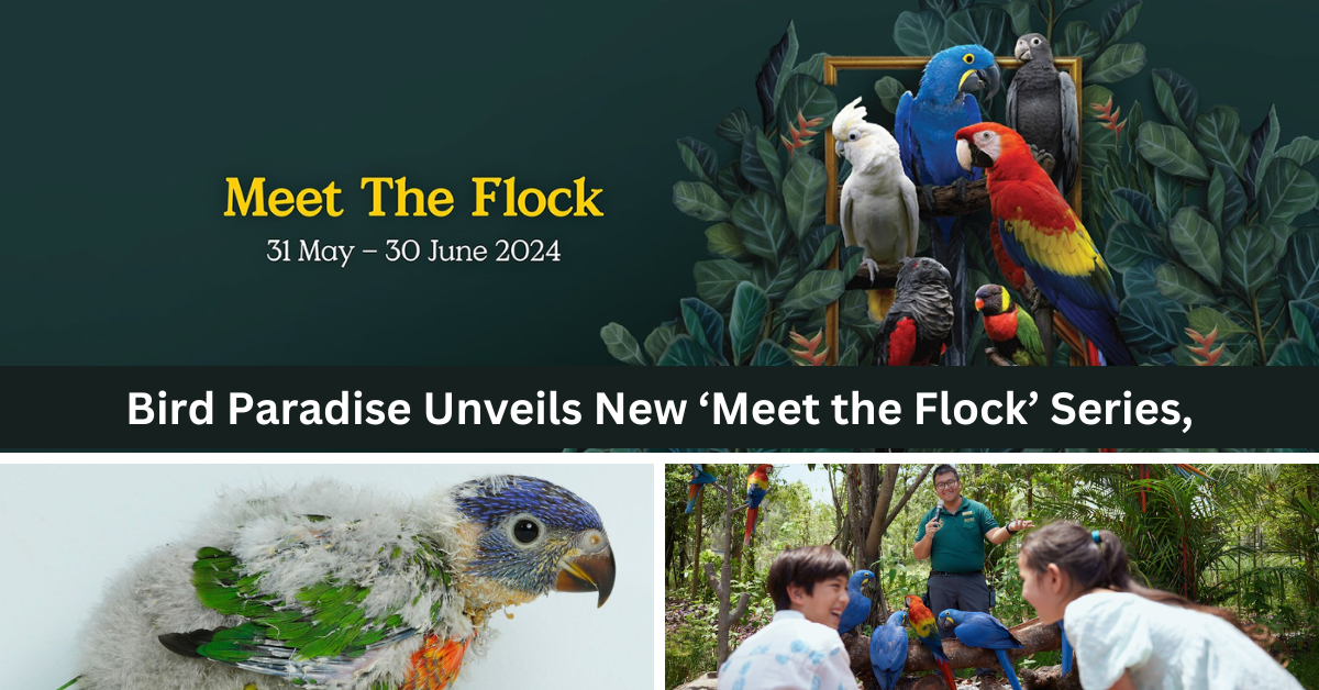 Bird Paradise Unveils New 'Meet the Flock' Series – BYKidO
