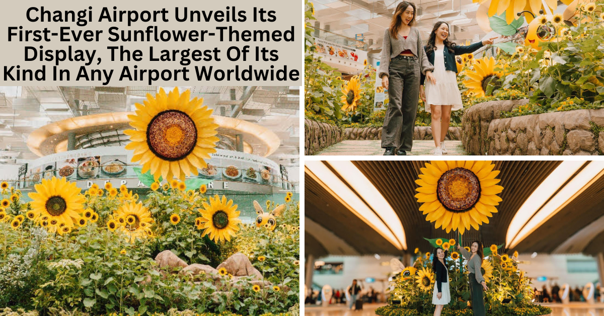 Changi Airport Unveils Its First-Ever Sunflower-Themed Display – BYKidO