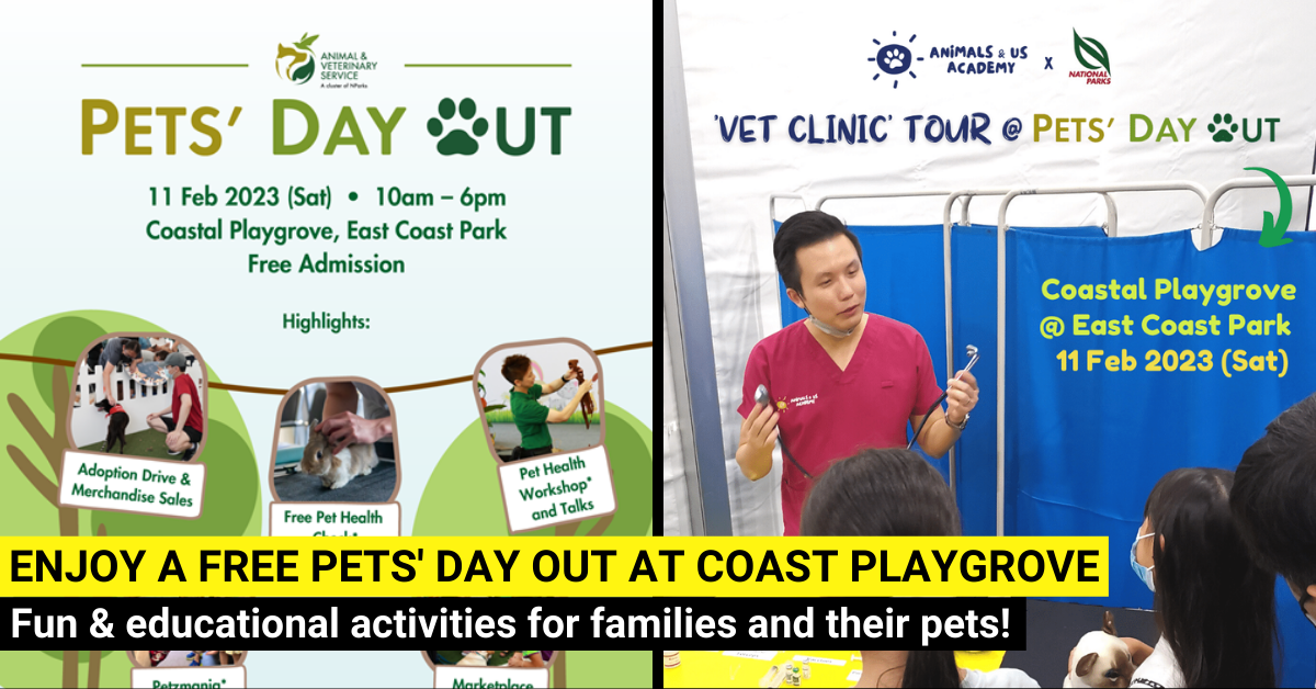 Fun and Educational Pet Activities for the Whole Family: NParks' Pets ...