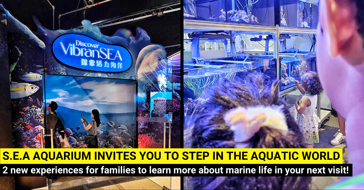 VibranSEA and the Aquarist Lab: New Immersive Experiences at the S.E.A ...