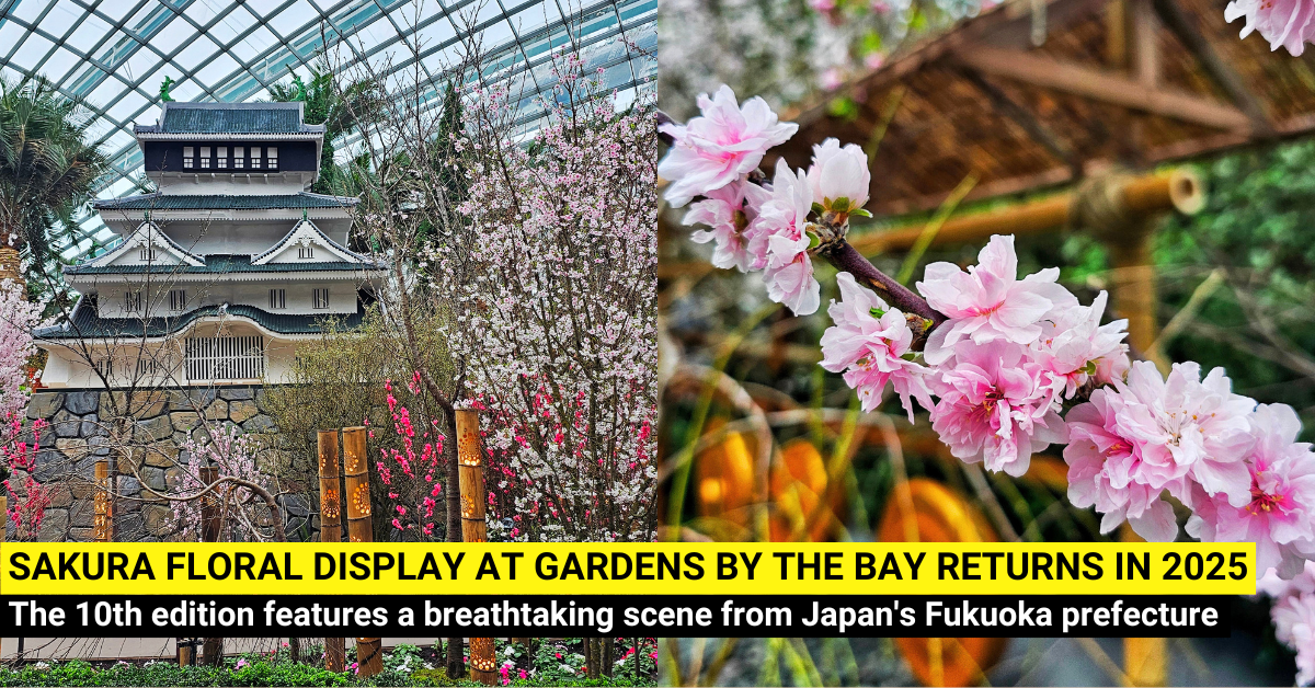 Sakura 2025 Floral Display at Gardens by the Bay Returns for Its 10th ...