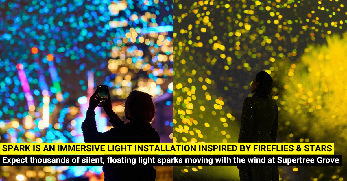 SPARK - A Free Immersive Light Installation at Gardens by the Bay - 4 ...