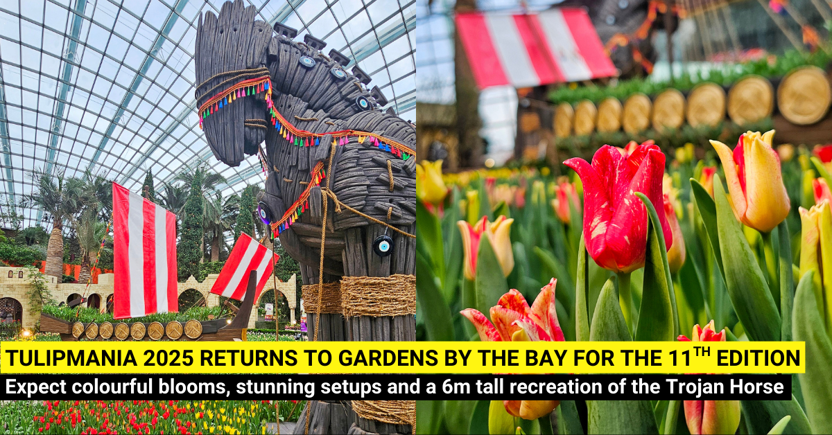 Tulipmania 2025 at Gardens by the Bay Promises a Historical Family Adv ...