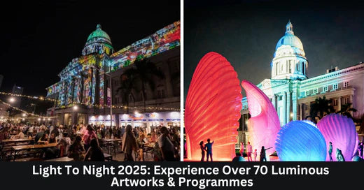 Light To Night 2025: A Vibrant Celebration of Art, Identity & Community ...