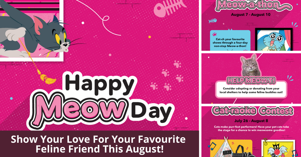 Cartoon Network Celebrates International Cat Day! – BYKidO