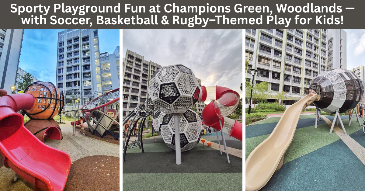 Soccer, Basketball & Rugby Playgrounds at Champions Green, Woodlands ...