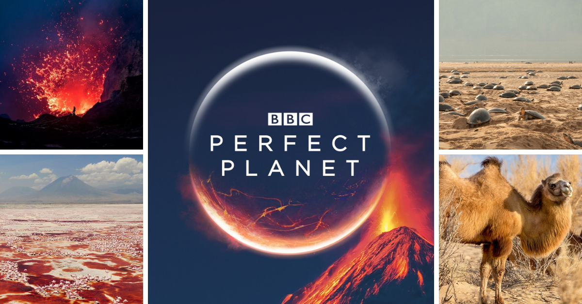 A Perfect Planet | New BBC Programme To Premiere Express From The UK ...